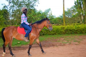 Horse Lovers: Horse Riding Adventures at Flametree Stables in Uganda