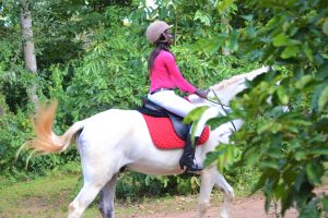 Horse Lovers: Horse Riding Adventures at Flametree Stables in Uganda