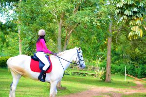 Horse Lovers: Horse Riding Adventures at Flametree Stables in Uganda
